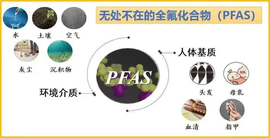 Pfas是什么物质 揭开 永久化学品 的健康危害真相 科企岛